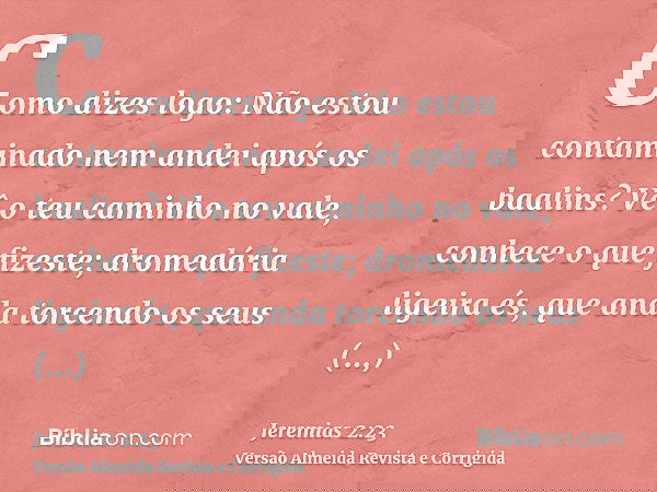 Jeremias 2:23 - Bíblia