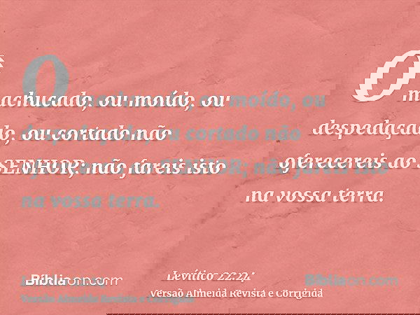 Levítico 22:24 - Bíblia