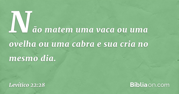 Levítico 22:28 - Bíblia