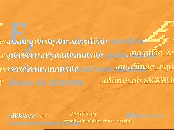 Levítico 3:1 - Bíblia