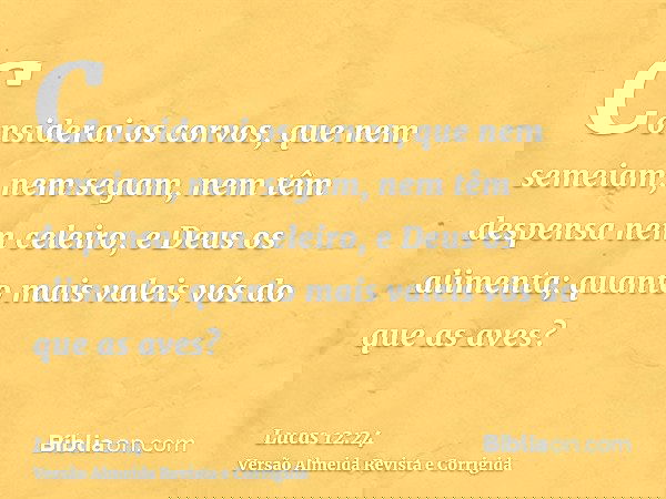 Lucas 12:24 - Bíblia