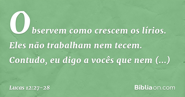 Lucas 12:27-28 - Bíblia
