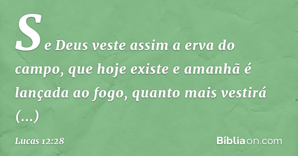 Lucas 12:28 - Bíblia