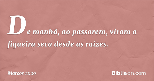 Marcos 11:20 - Bíblia