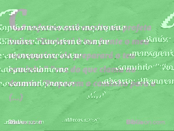 Marcos 1:2-8 - Bíblia