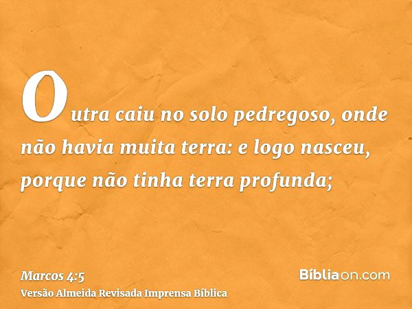 Marcos 4:5 - Bíblia