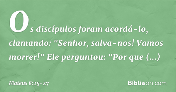 Mateus 8:25-27 - Bíblia