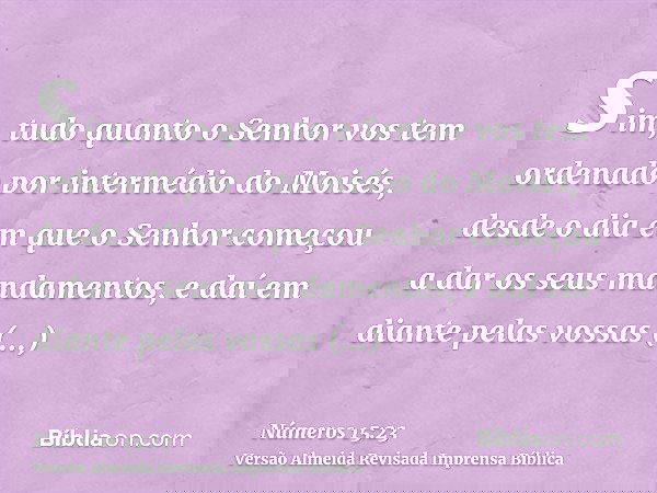 Números 15:23 - Bíblia