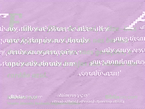 Números 15:38 - Bíblia