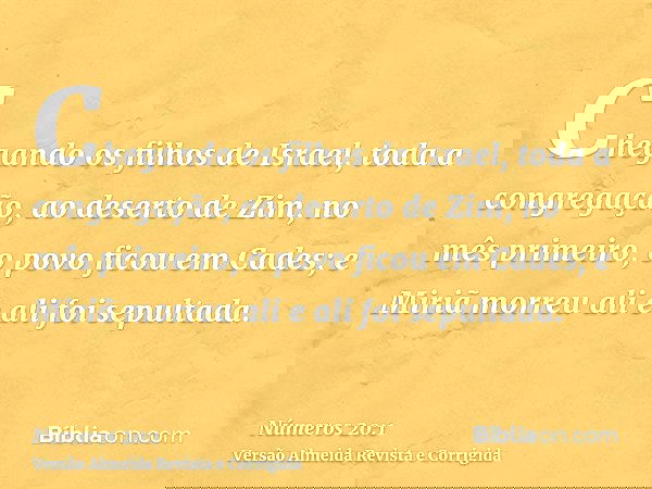 Números 20:1 - Bíblia