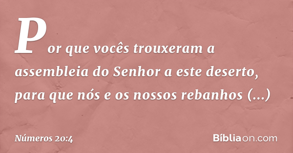 Números 20:4 - Bíblia
