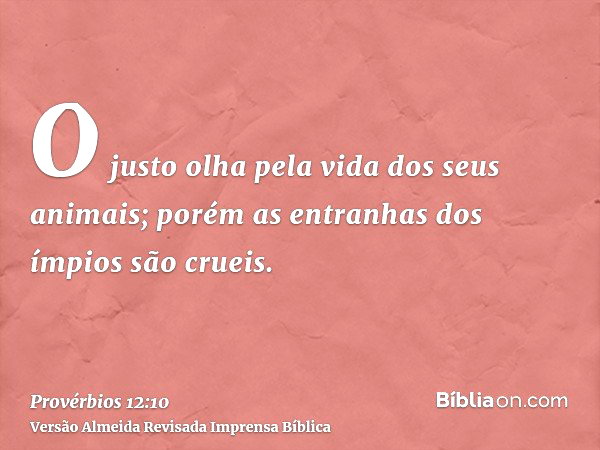 Provérbios 12:10 - Bíblia