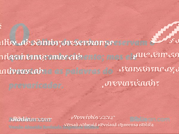 Provérbios 22:12 - Bíblia