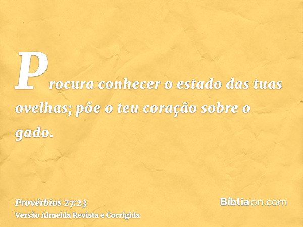 Provérbios 27:23 - Bíblia