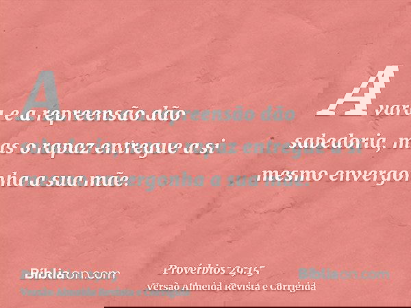 Provérbios 29:15 - Bíblia