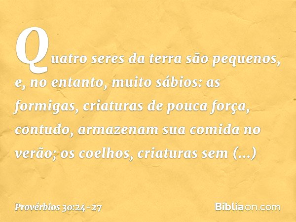 Provérbios 30:24-27 - Bíblia