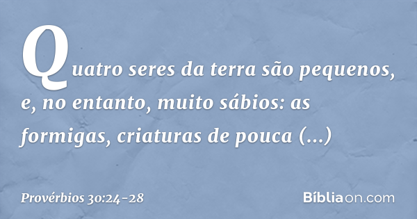 Provérbios 30:24-28 - Bíblia