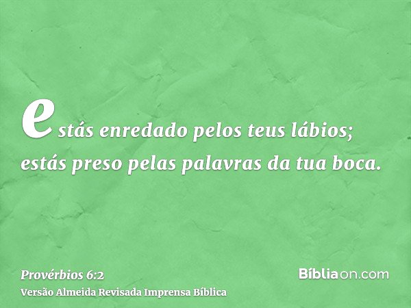 Provérbios 6:2 - Bíblia