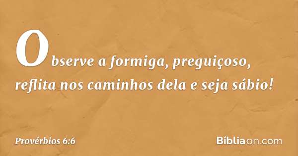 Provérbios 6:6 - Bíblia