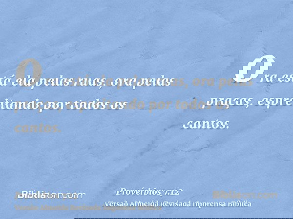 Provérbios 7:12 - Bíblia