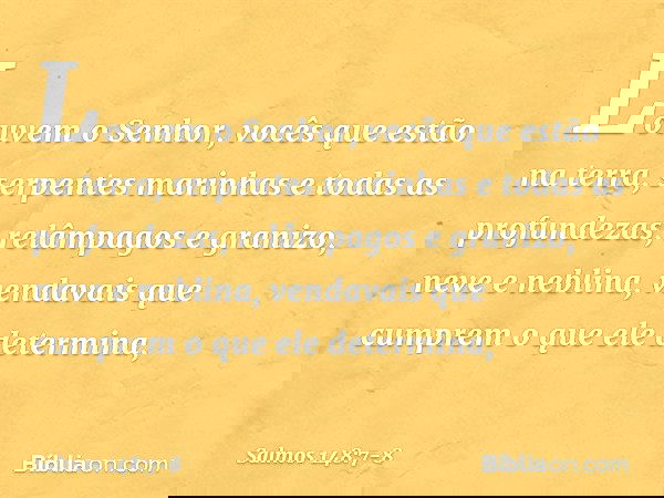 Salmo 148:7-8 - Bíblia