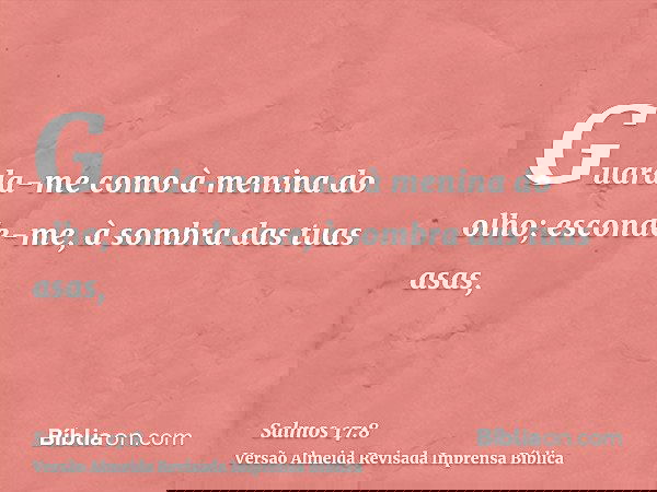 Salmo 17:8 (Guarda-me Senhor como a menina dos olhos) - Bíblia