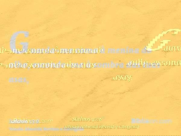 Salmo 17:8 (Guarda-me Senhor como a menina dos olhos) - Bíblia