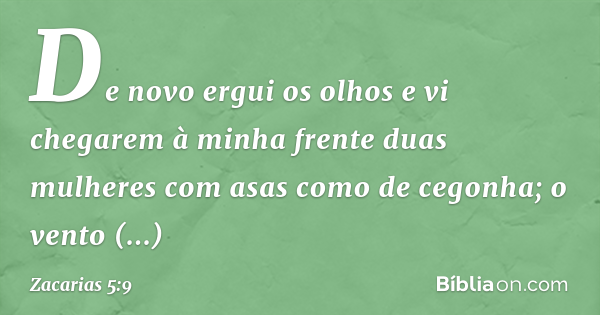 Zacarias 5:9 - Bíblia