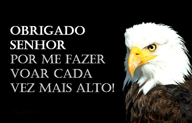 47 Mensagens De Agradecimento A Deus Por Tudo Mesmo Nas Adversidades