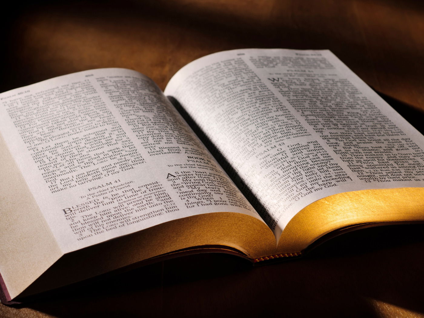 5 exemplos de sabedoria na Bíblia - Bíblia