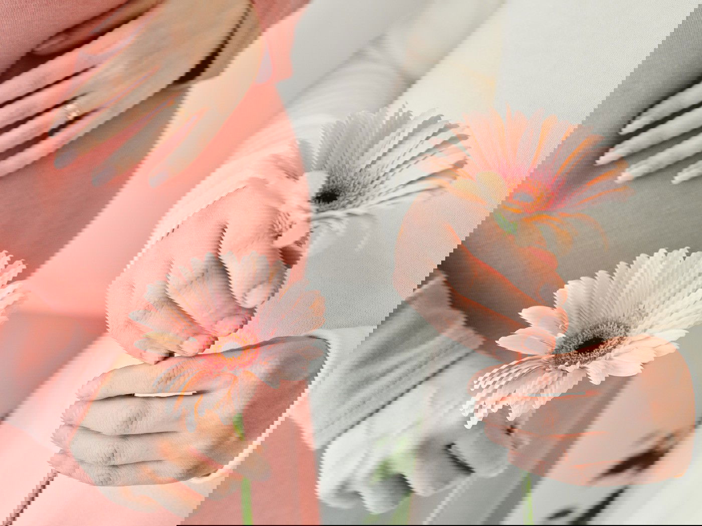 Maria visita Isabel: Explicação de Lucas 1:39-45 (Estudo Bíblico) - Bíblia