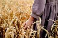 Rute 1:16-17 - Bíblia