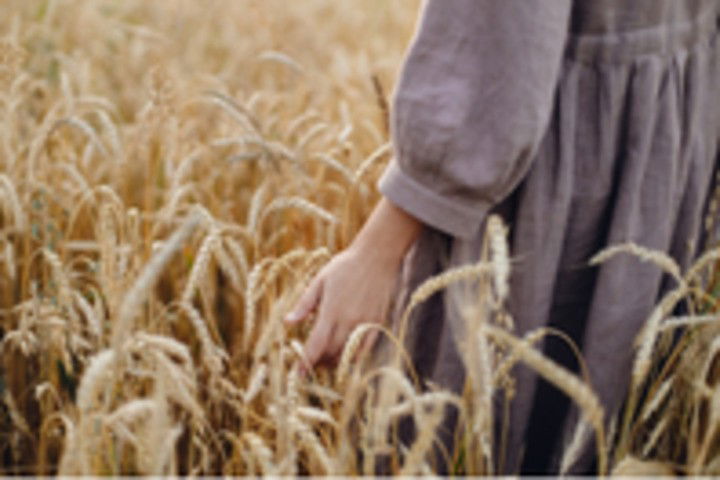 A história de Rute (e o que podemos aprender com ela) - Bíblia